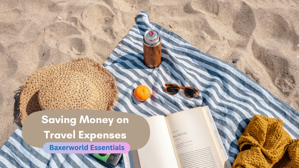Travel Expenses: Saving Money on Travel this Summer - Baxterworld